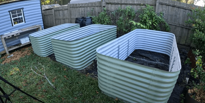 Birdies Raised Garden Beds Original vs Next Generation - Is It Better ...