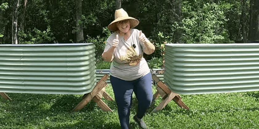Birdies Raised Garden Beds Review (4 Years In): Every Bed I Own