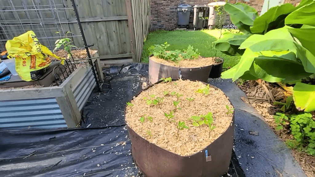 Raised Garden Bed - No Tools - No Assembly is Required - Michelle In The Meadow